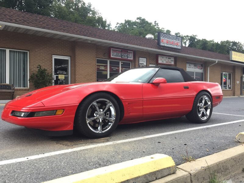 Product Spotlight: 3M Color Stable Film